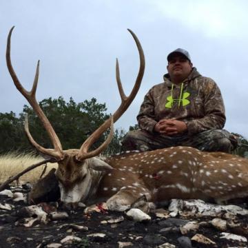 trophy axis deer texas