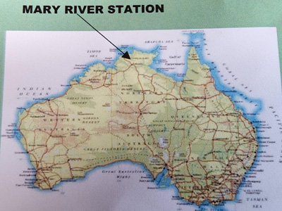 Trophy Water Buffalo hunt in Australia